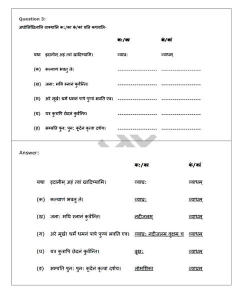 NCERT Solution Class 8 Sanskrit Chapter 5 : धमे धमनं पापे पुण्यम्