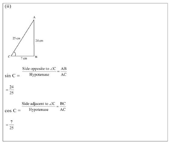 NCERT Solutions Class 10 Maths Chapter 8 - Introduction to Trigonometry ...